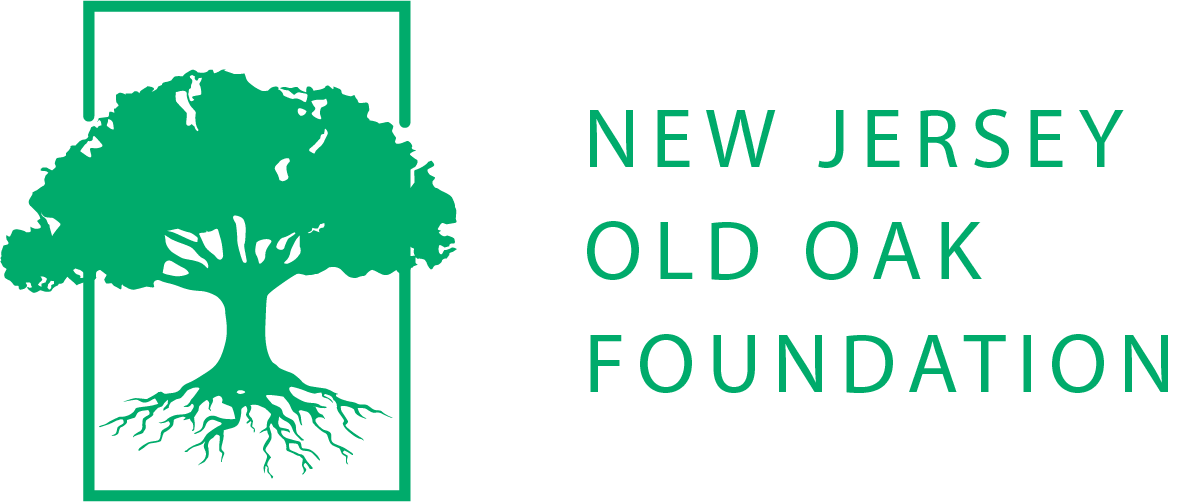 About Us - AlphaStyle